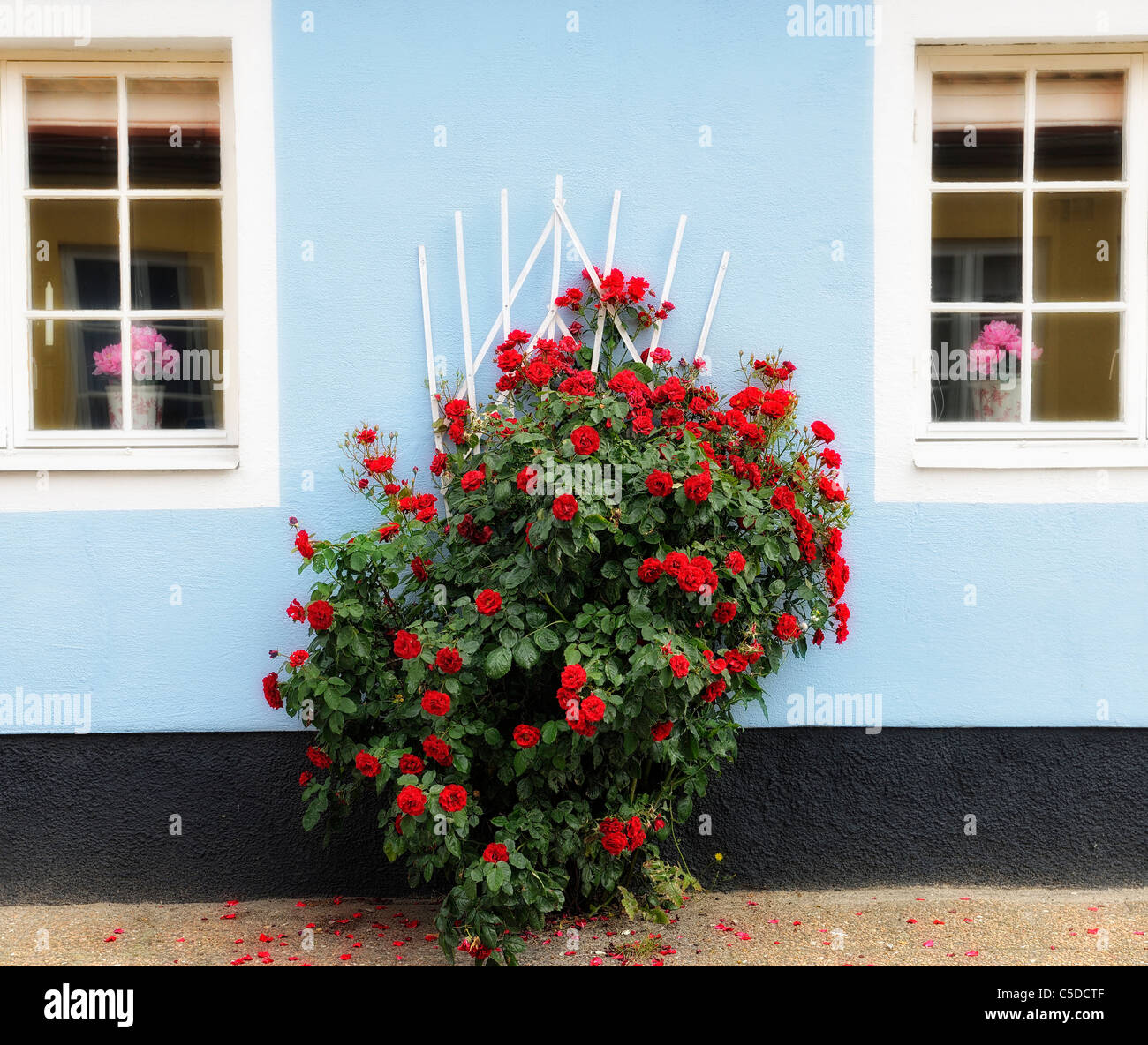Flowery windows hi-res stock photography and images - Alamy