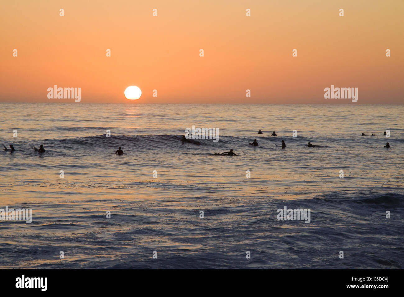 View of California Surfers floating in water at Sunset Stock Photo - Alamy