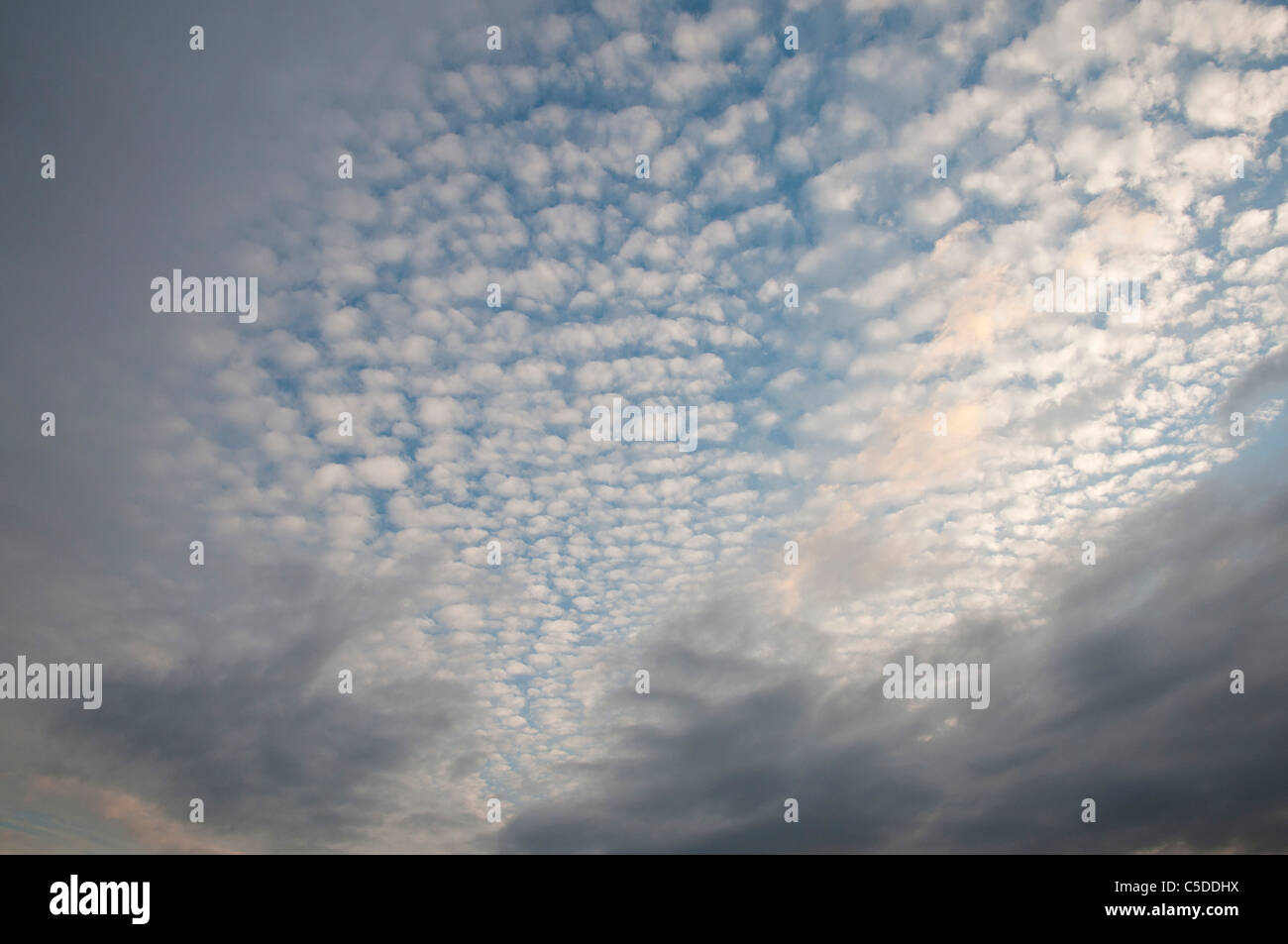 Nuage de printemps hi-res stock photography and images - Alamy
