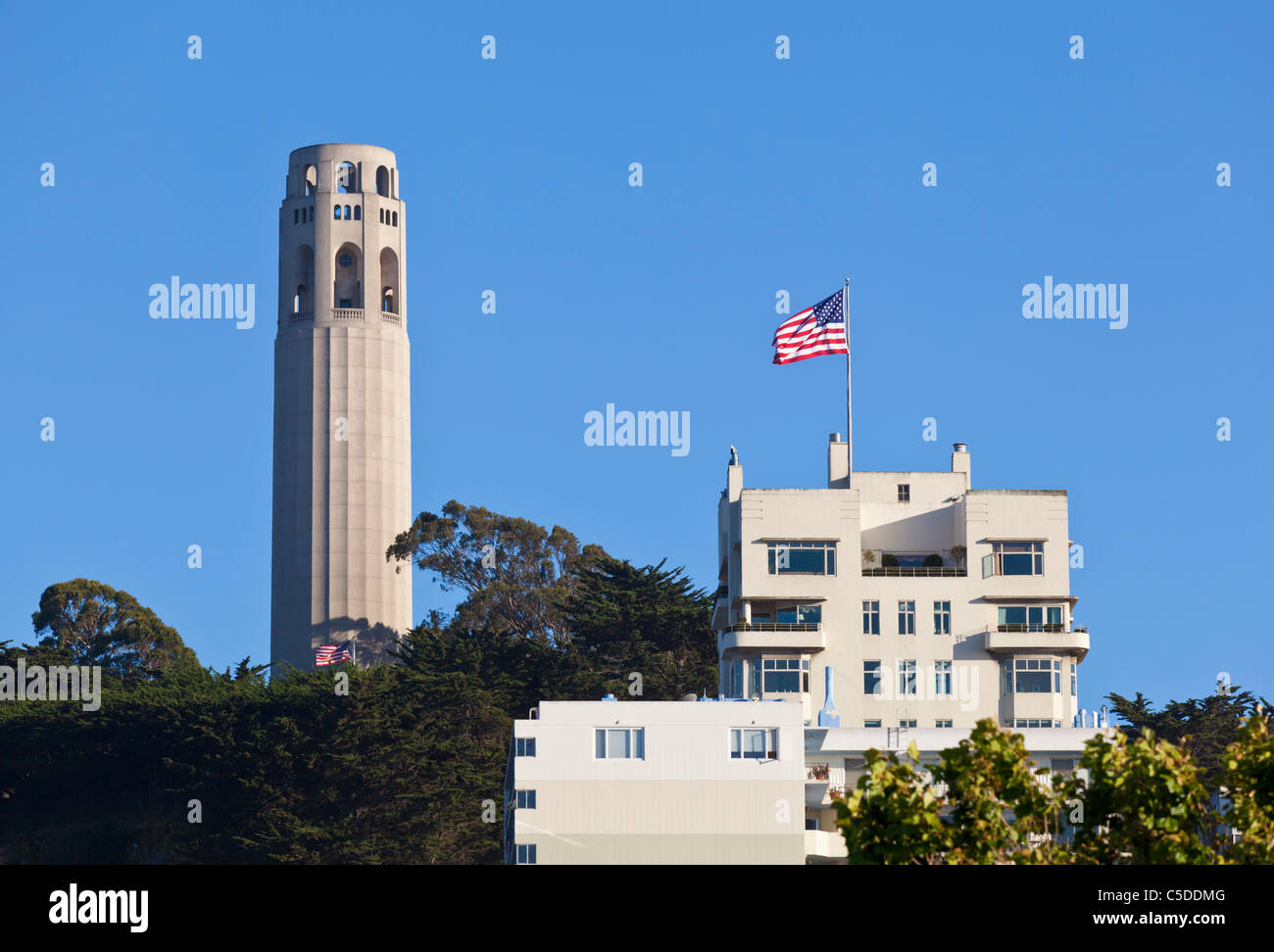 Coit Tower Vector