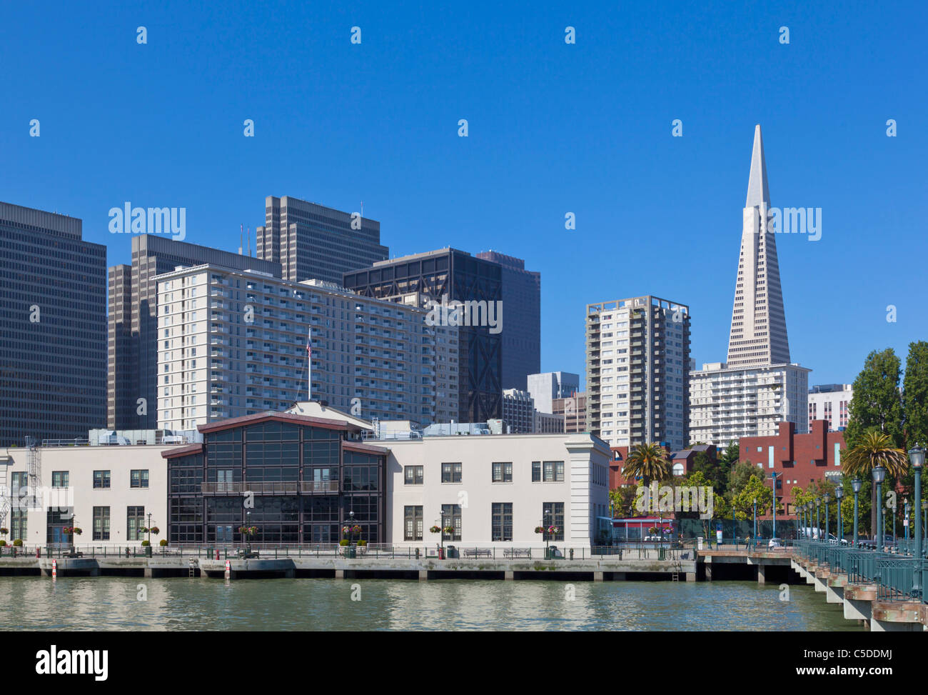 San Francisco - The Financial district and Transamerica Pyramid from ...