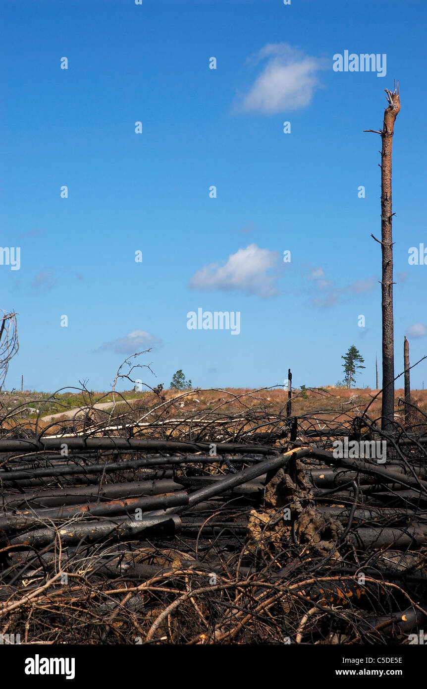 Blue sky ground hi-res stock photography and images - Alamy