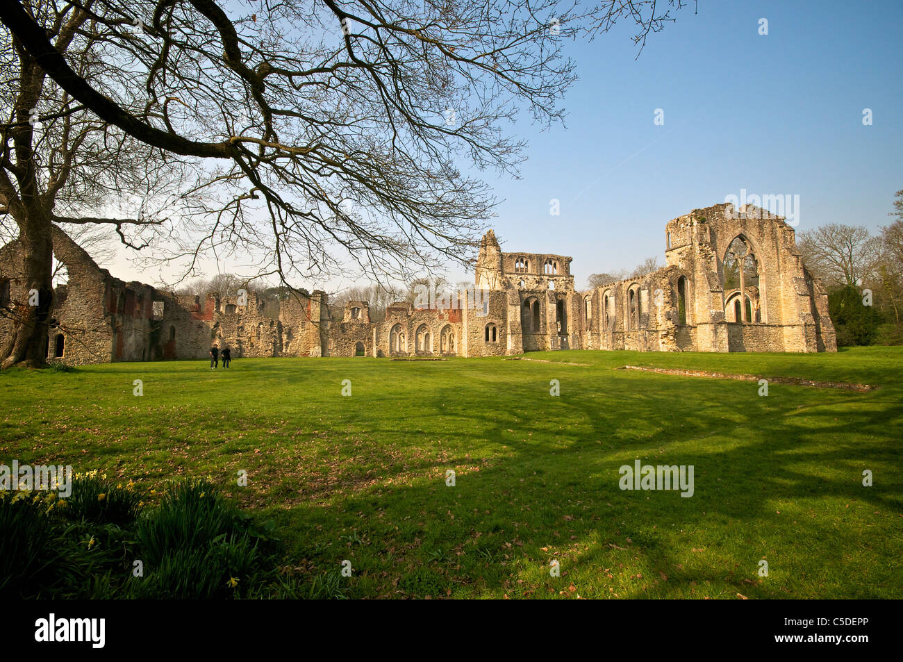 Netley Abbey Hampshire UK Stock Photo - Alamy