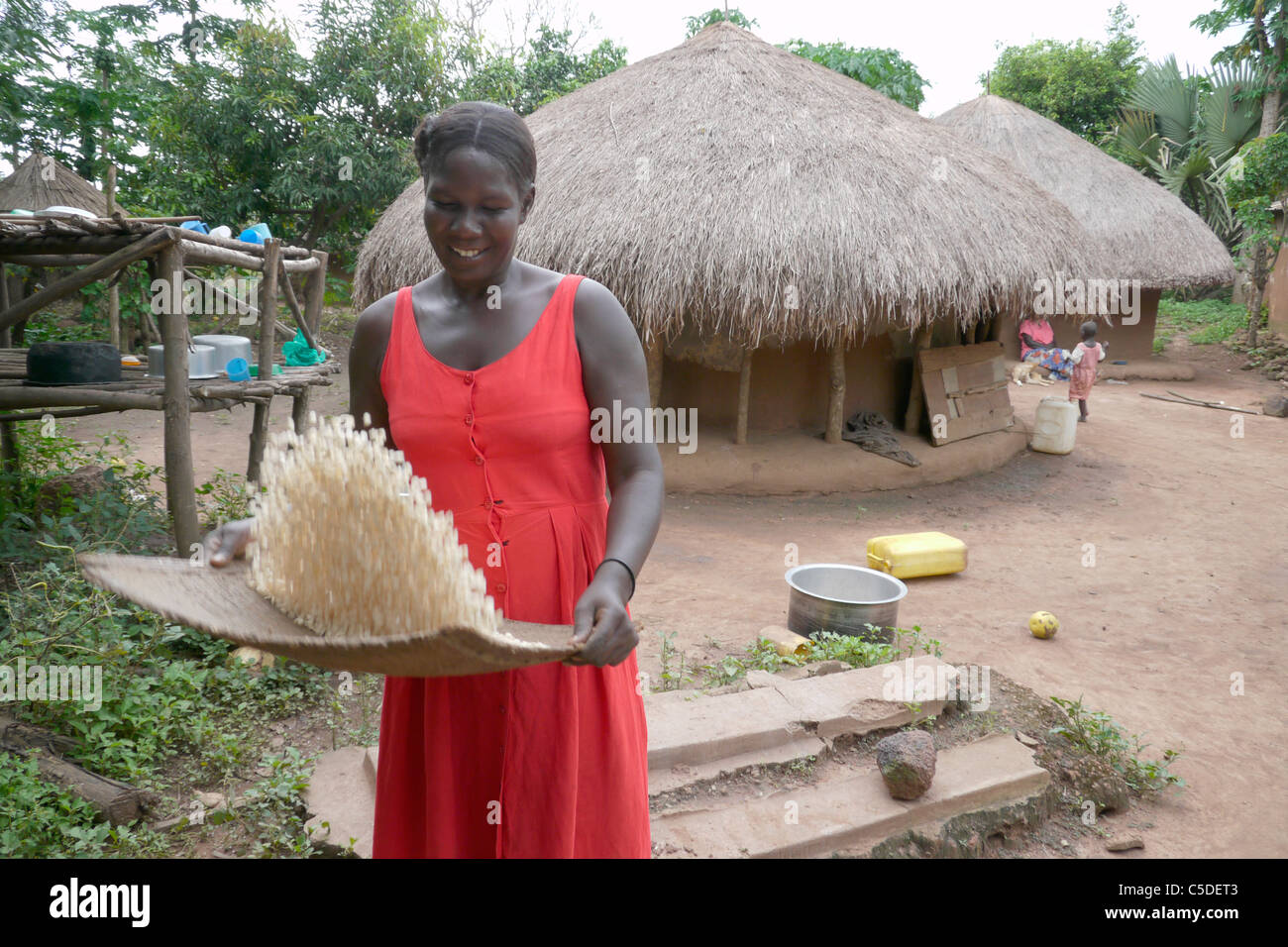 UGANDA Lira. Woman cleaning maize. photograph by Sean Sprague Stock ...