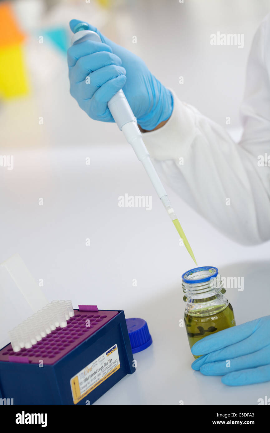 Wednesday 6th July 2011 Lab technician using a pipette at the Leeds ...