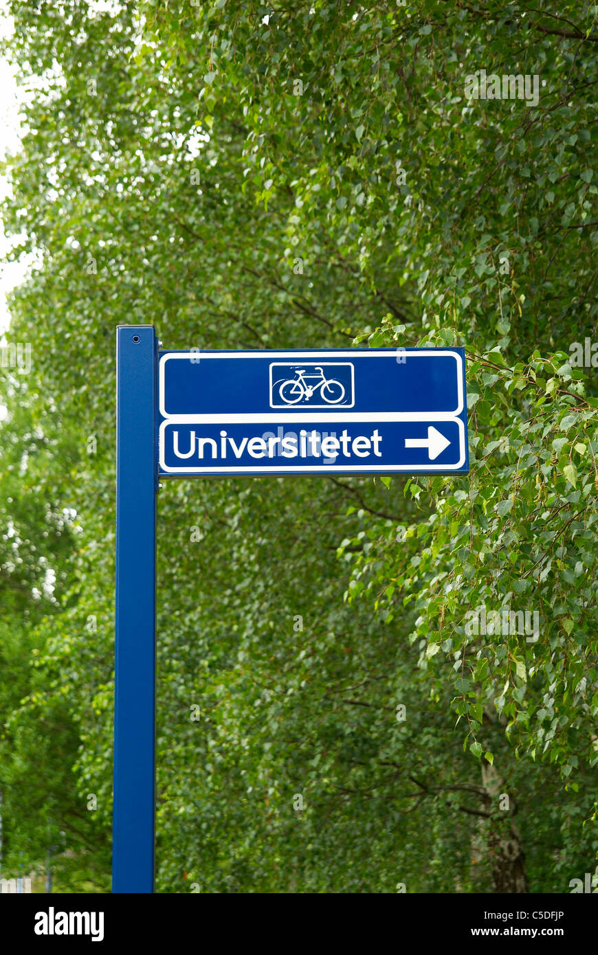 University road sign hi-res stock photography and images - Alamy