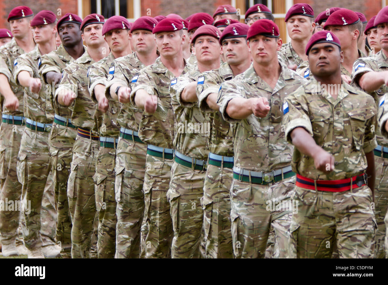 The Princess Royal hands out campaign medals to soldiers from 216 ...