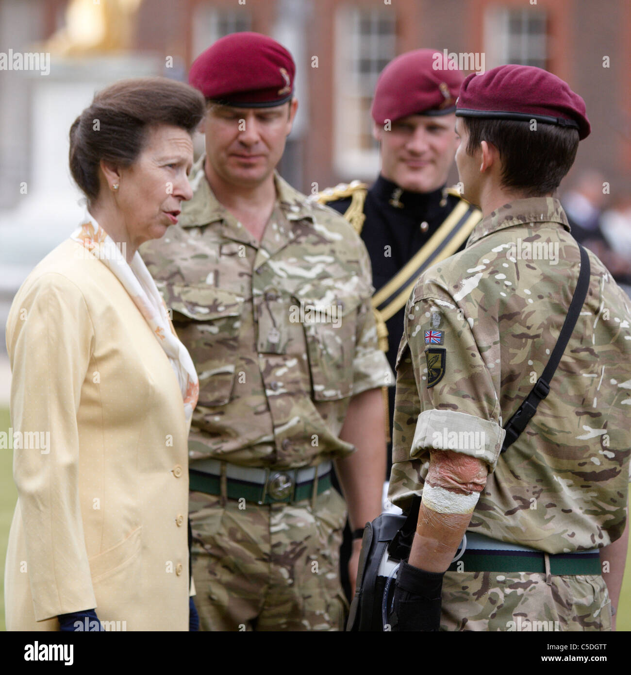 The Princess Royal hands out campaign medals to soldiers from 216 ...