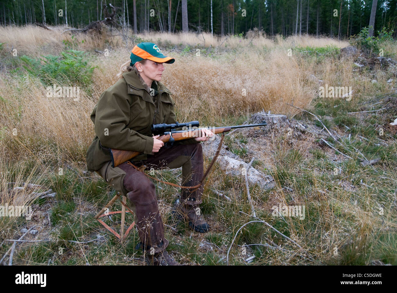 Swedish hunter hi-res stock photography and images - Alamy