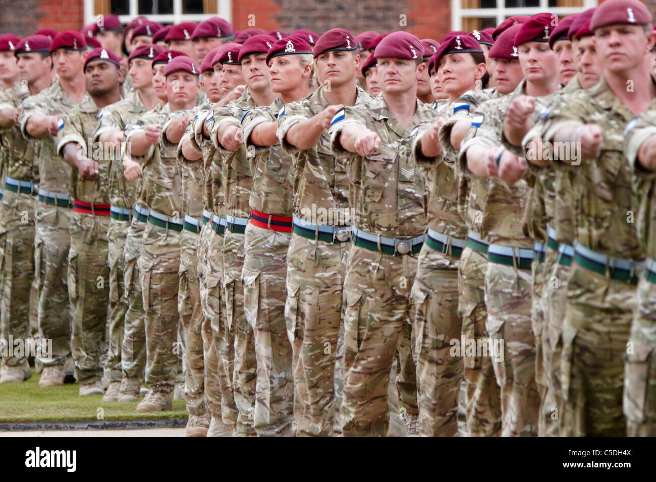 The Princess Royal hands out campaign medals to soldiers from 216 ...