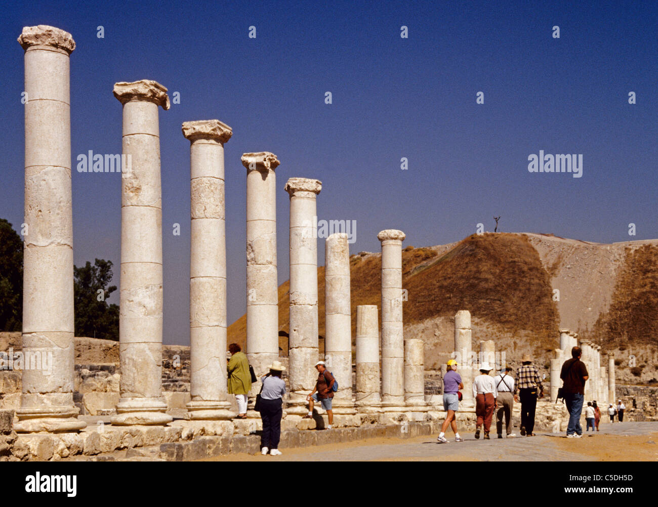 Columns on Byzantine Palladius Street at Beit She'an archaeological ...