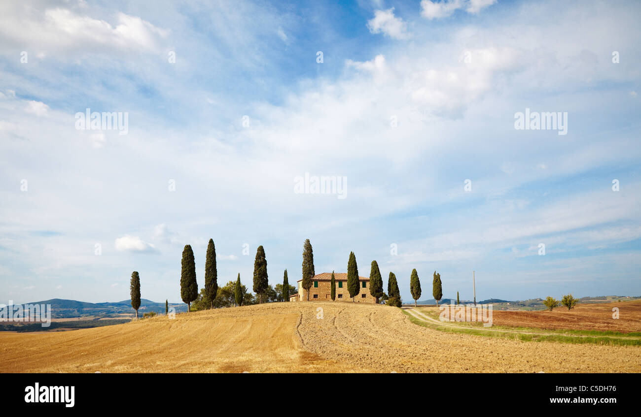 Classic Tuscan farm house and cyprus trees in Tuscany, Italy Stock ...