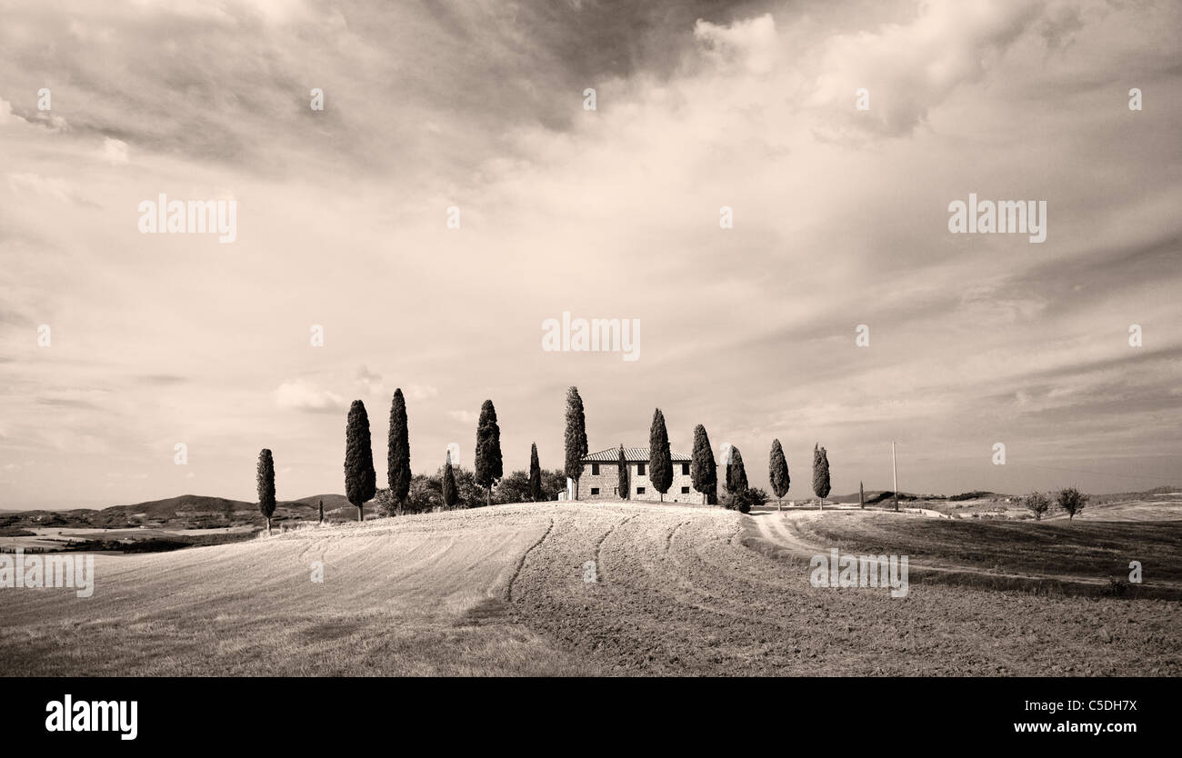 Classic Tuscan farm house and cyprus trees in Tuscany, Italy in toned ...