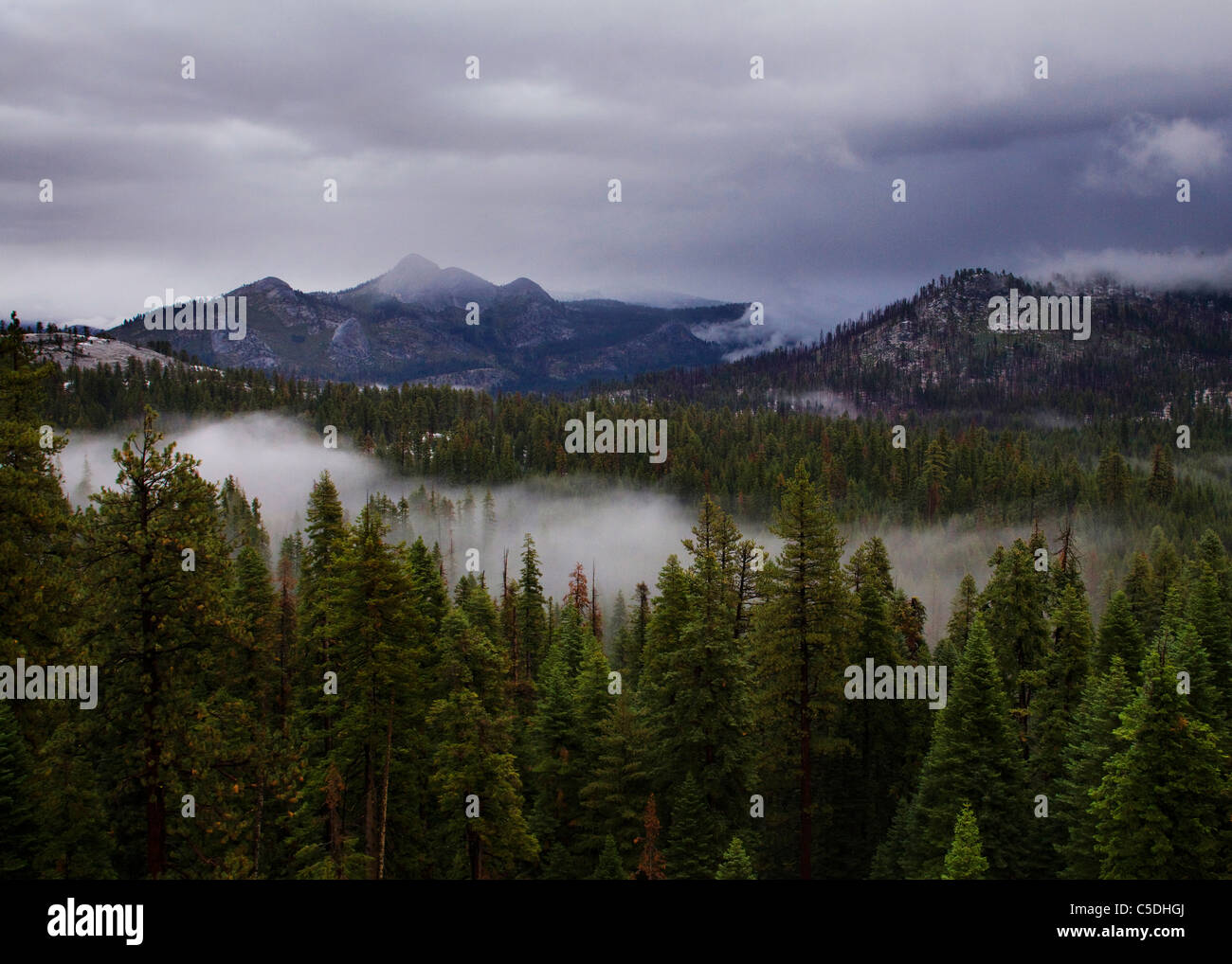 An overcast mountain landscape looking down on thick forest Stock Photo ...