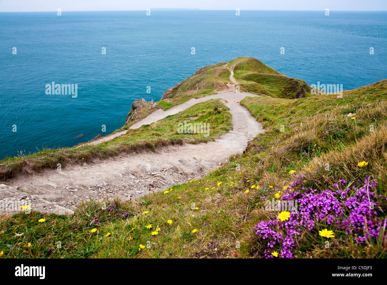 Devon island hi-res stock photography and images - Alamy