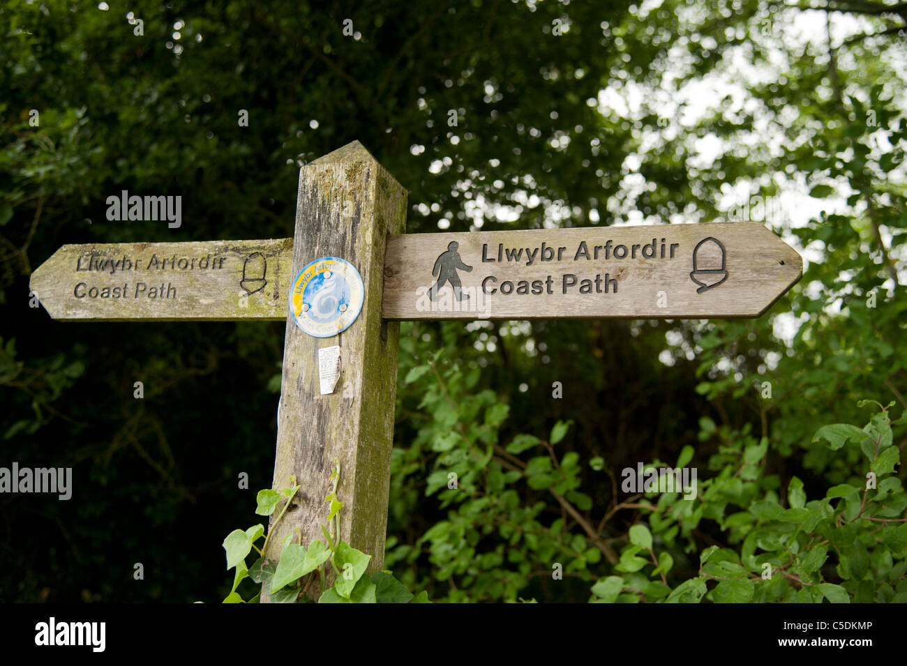 a bilingual pembrokeshire coast national park footpath sign, newport ...