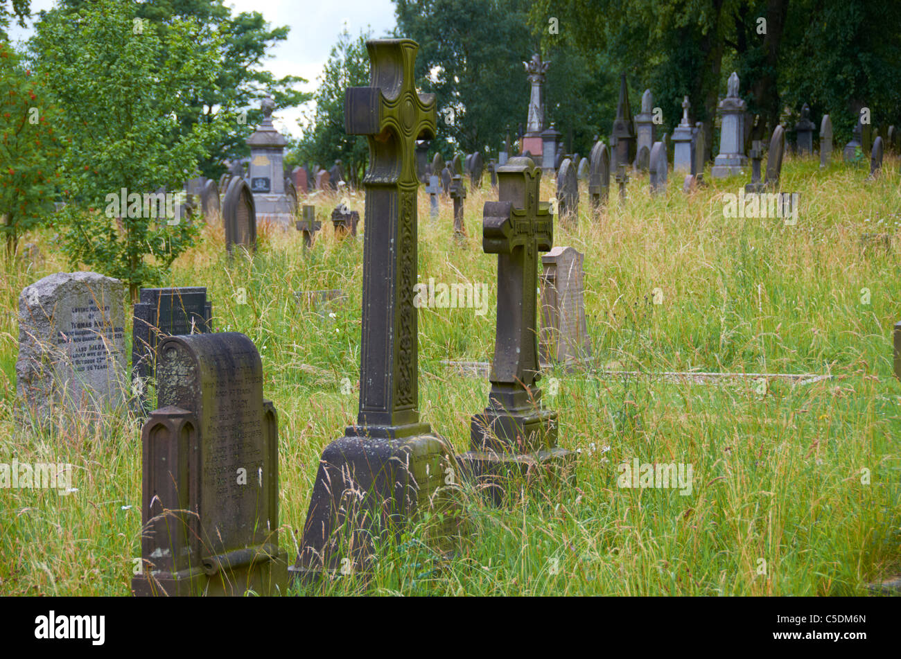 Burying weeds hi-res stock photography and images - Alamy
