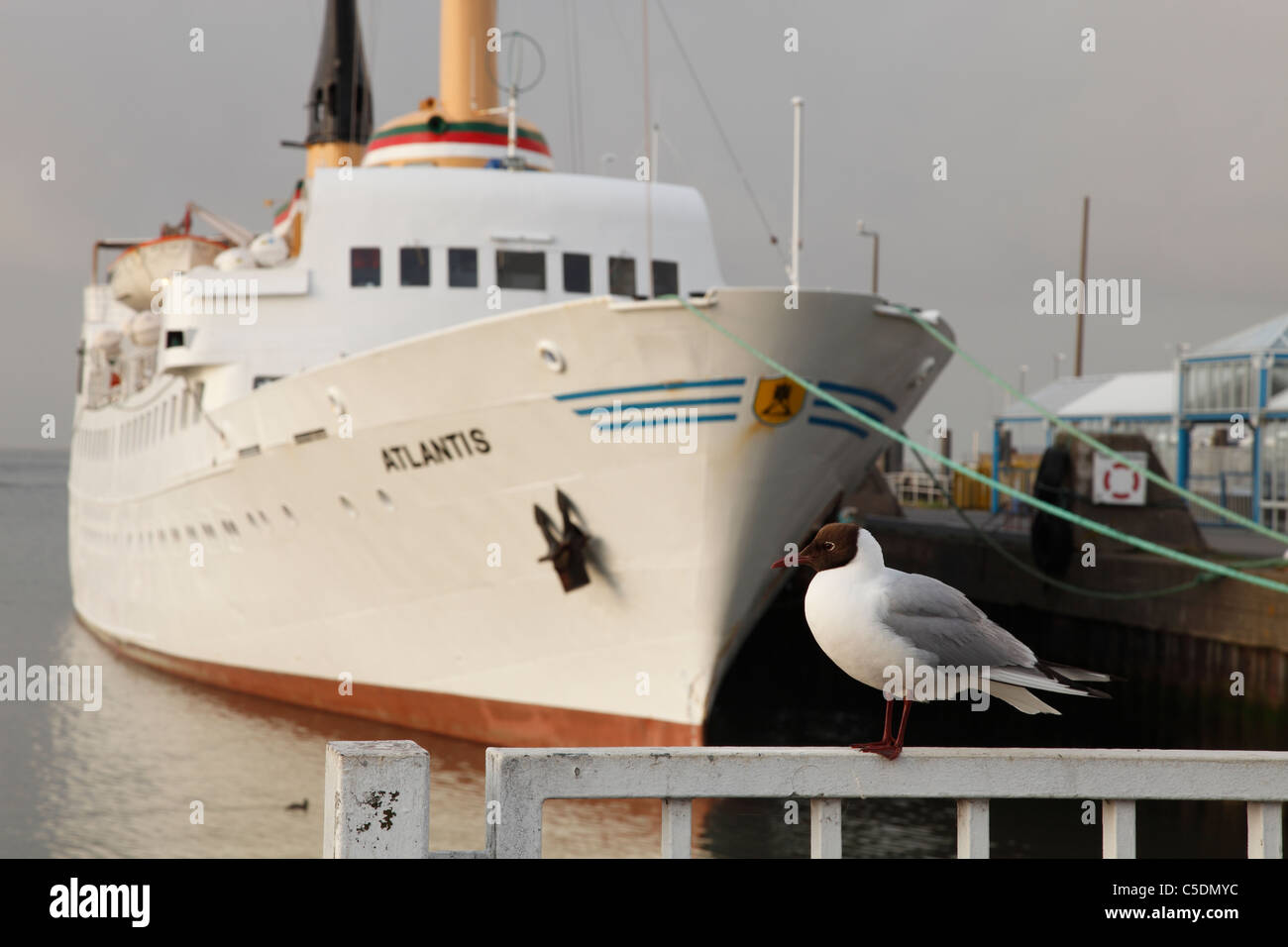 Ferry to island of heligoland hi-res stock photography and images - Alamy