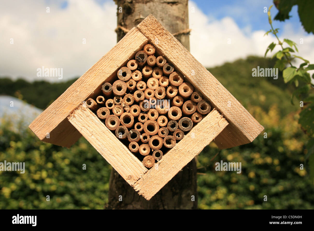 Insect house at the Eden Project, Cornwall Stock Photo - Alamy