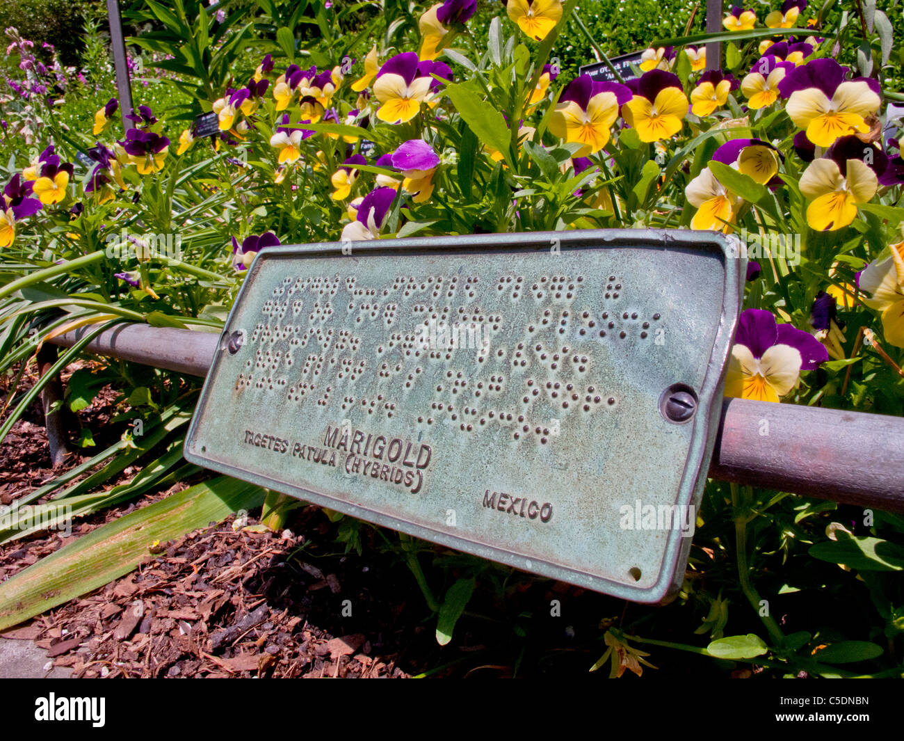 Signs in Braille guide the vision-impaired at the Alice Recknagel Ireys ...