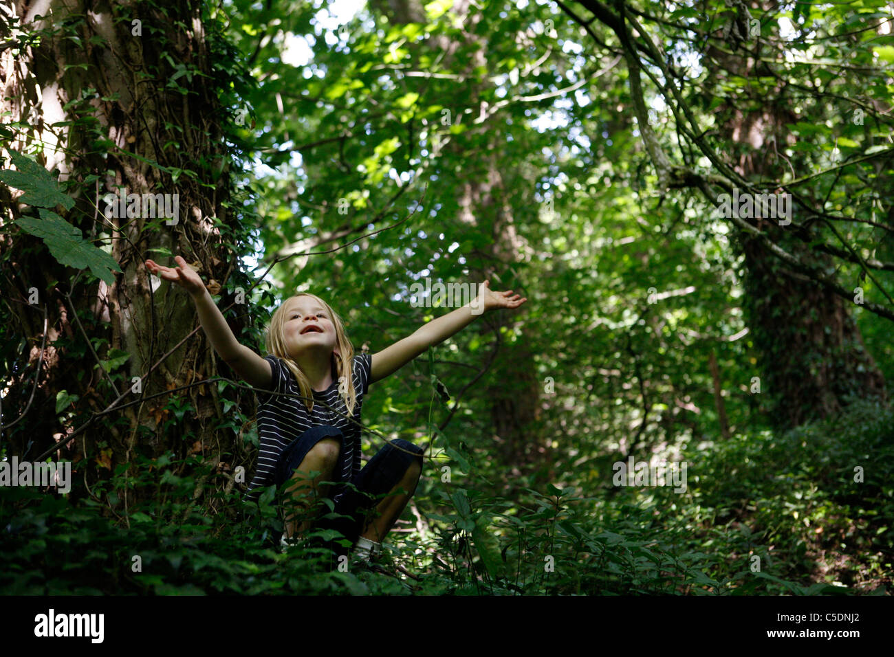 Children playing in the woods. UK Stock Photo - Alamy