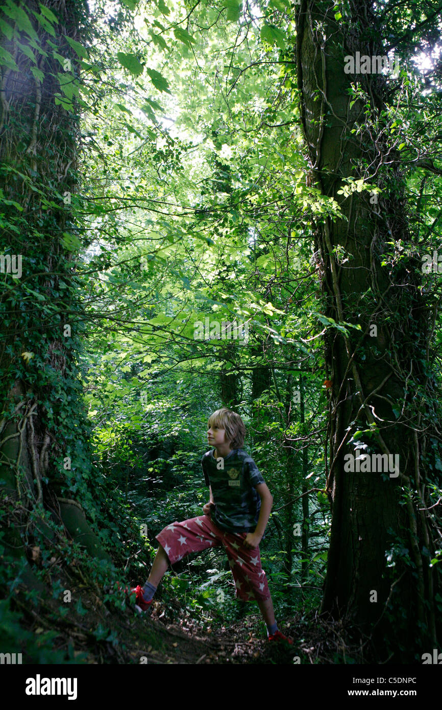 Children playing in the woods. UK Stock Photo - Alamy