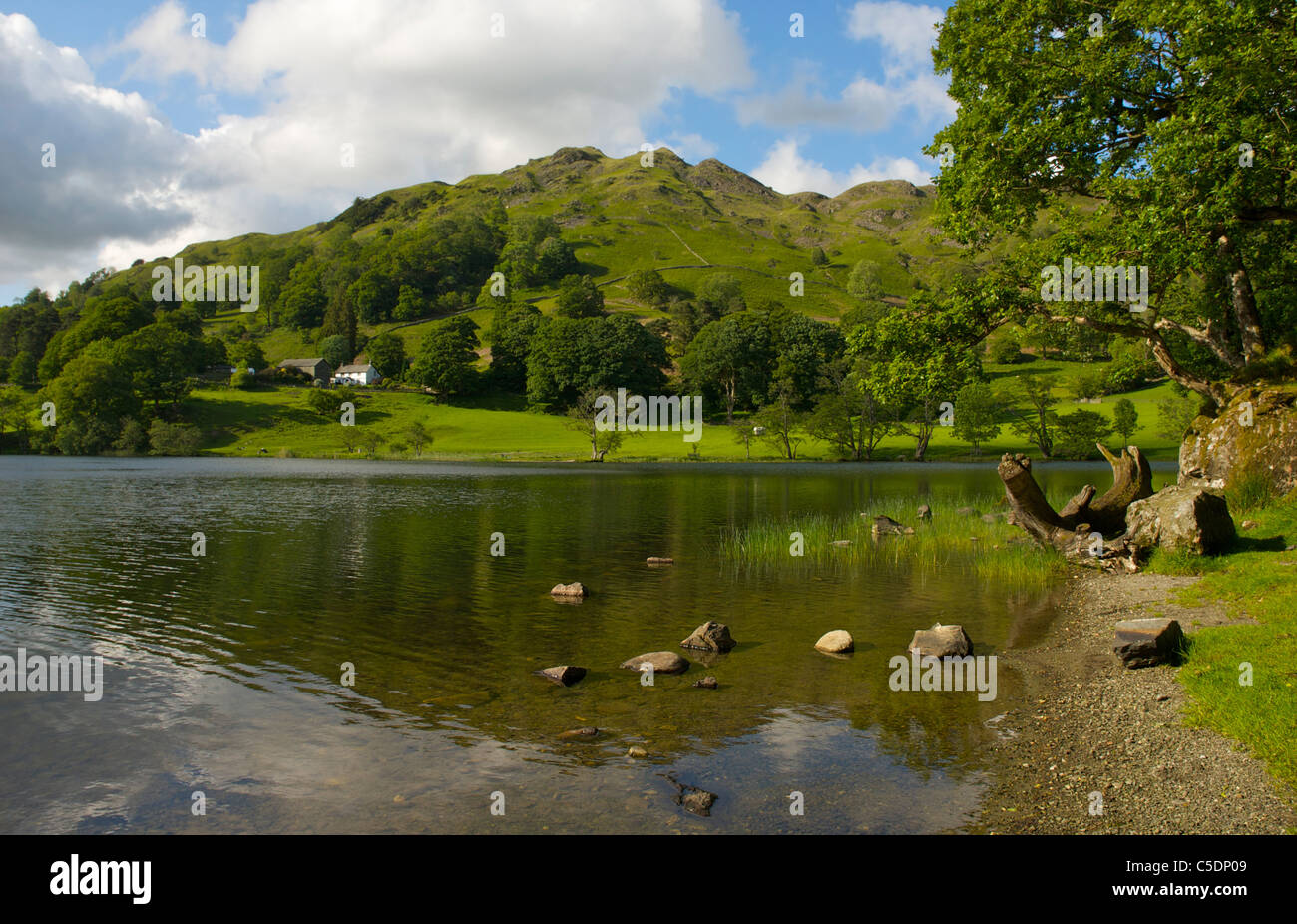 Loughrigg Tarn, Lake District National Park, Cumbria, England UK Stock ...