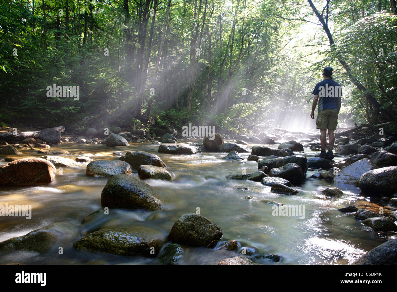 Foggy brook hi-res stock photography and images - Alamy