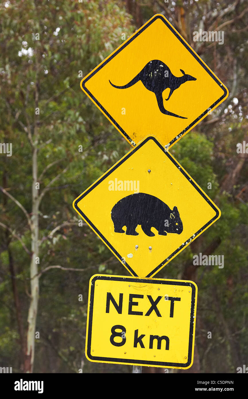 Kangaroo and Wombat Warning Sign, Jenolan Caves Road, Blue Mountains ...