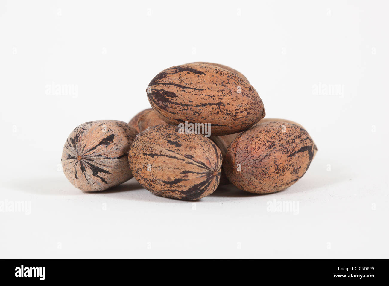 A small stack of pecans on a white background Stock Photo - Alamy