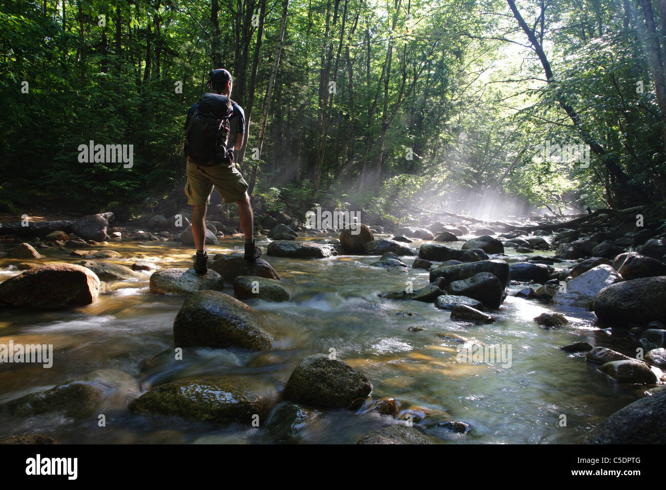 Foggy brook hi-res stock photography and images - Alamy