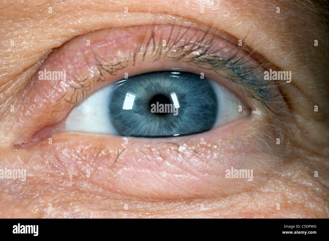 Blue eye color hi-res stock photography and images - Alamy
