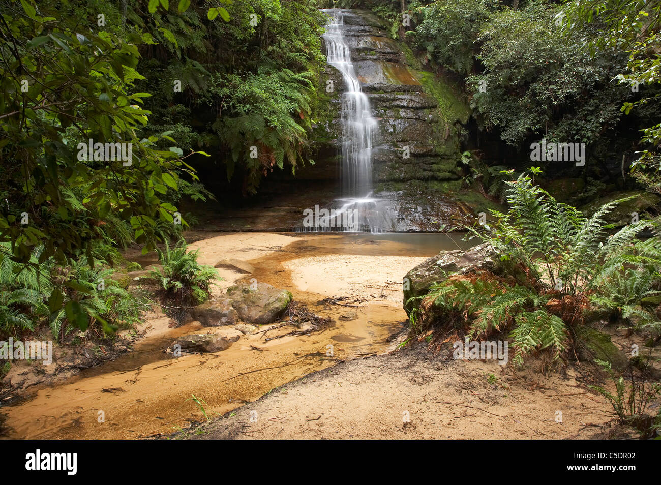 Pool of Siloam, Leura, Blue Mountains, New South Wales, Australia Stock ...