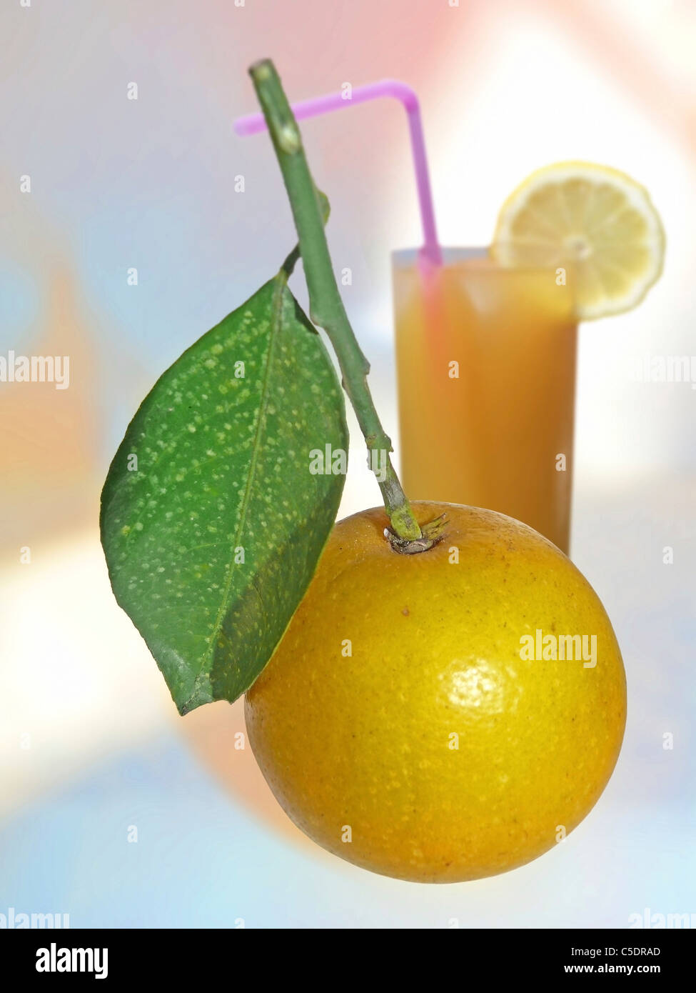 C sinensis hi-res stock photography and images - Alamy