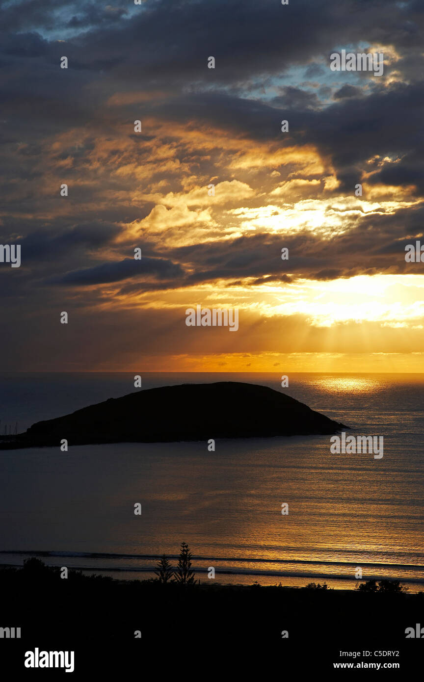 Muttonbird island nature reserve hi-res stock photography and images ...