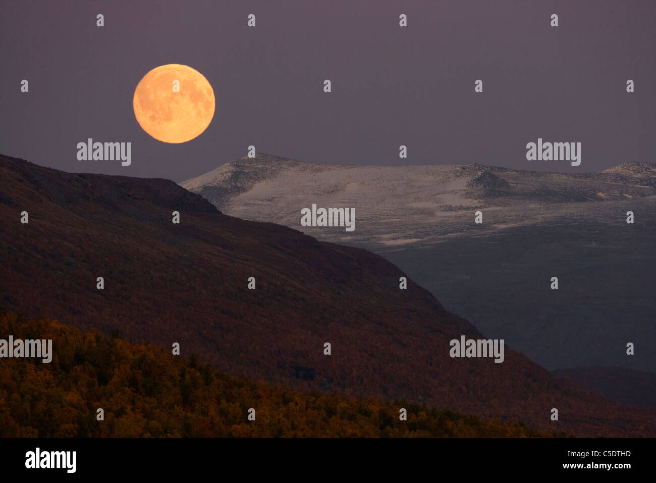 Full moon in sky landscape hi-res stock photography and images - Alamy