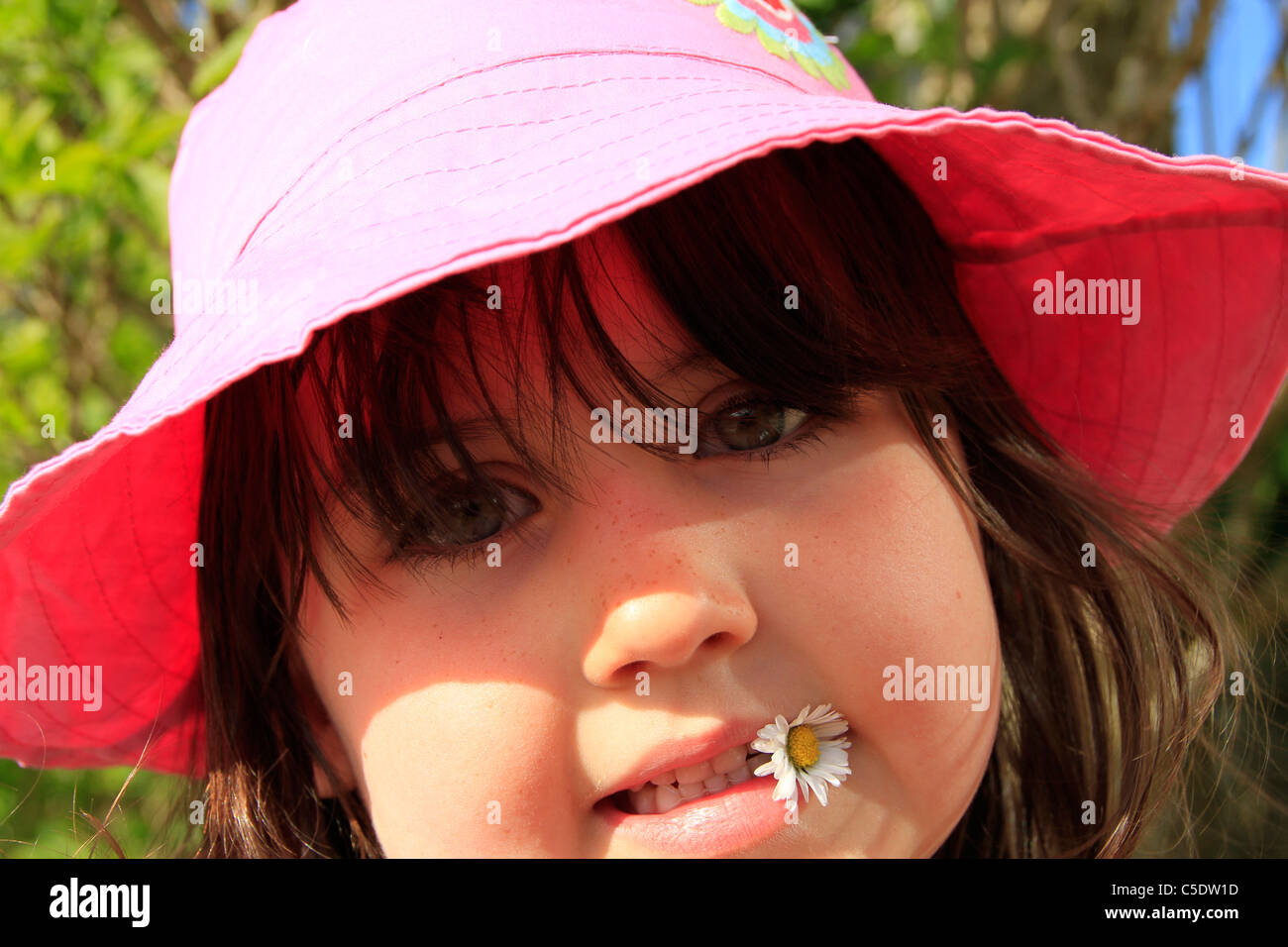 Girl with daisy Stock Photo - Alamy