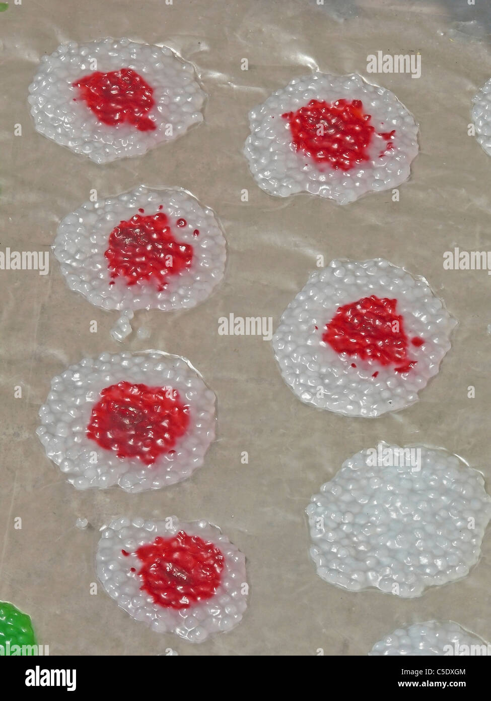 Sago, Sabudana Papad Spread for Drying, India Stock Photo - Alamy