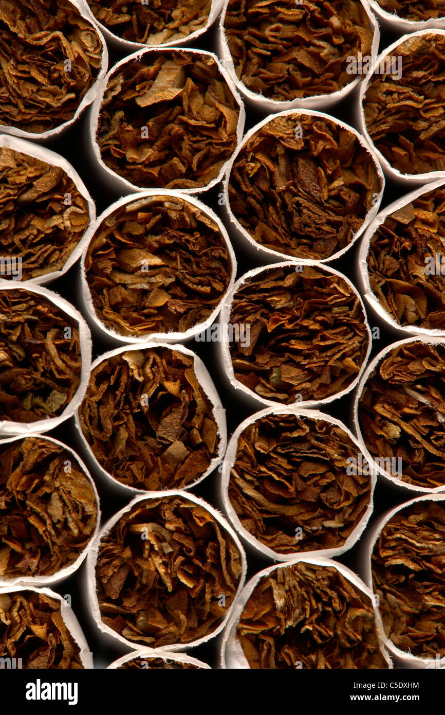 Many cigarettes hi-res stock photography and images - Alamy