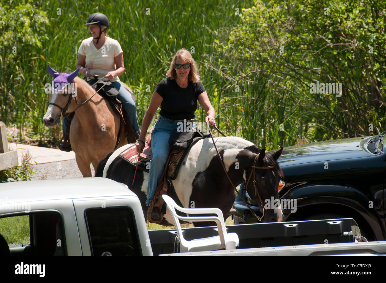 Horseback riders among trucks in park Stock Photo - Alamy