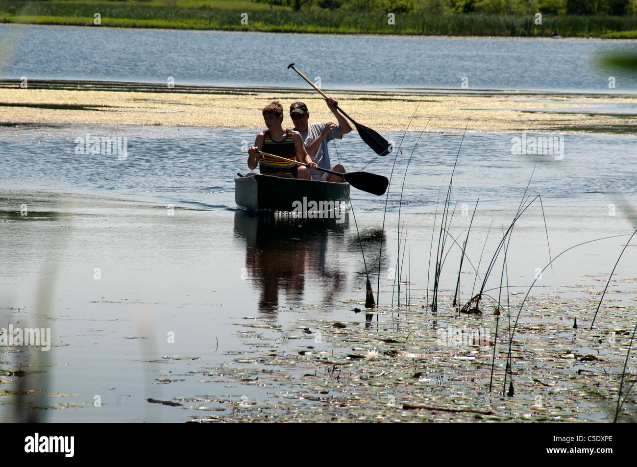 Peddling a canoe on smooth lake Stock Photo - Alamy