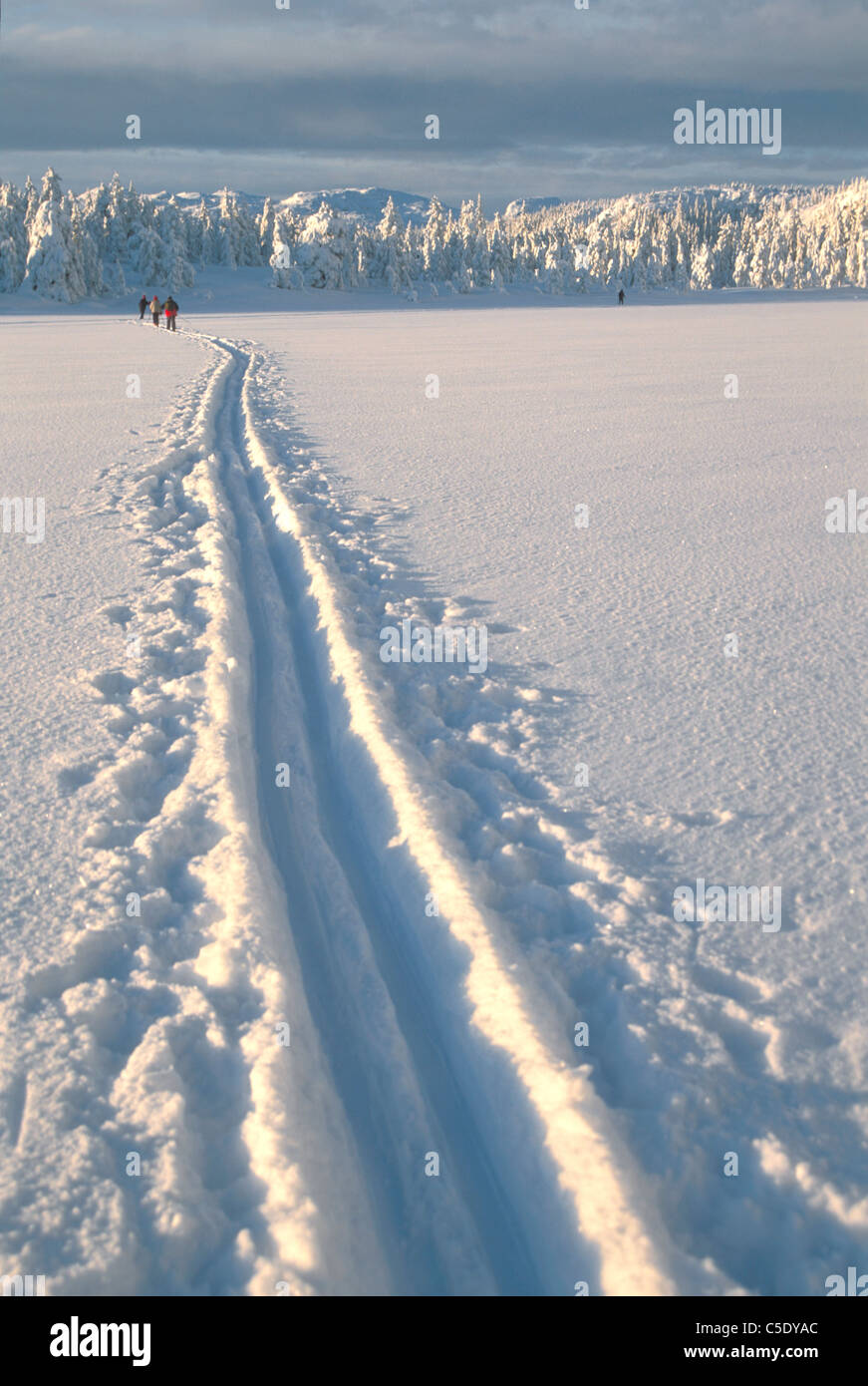 Long distance skiing hi-res stock photography and images - Alamy
