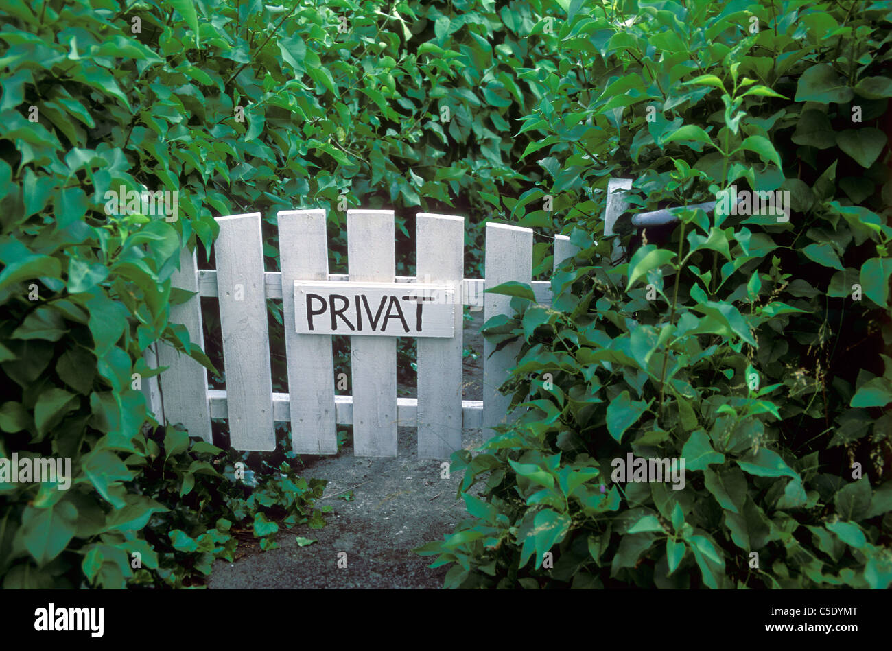 Overgrown garden gate plants gate hi-res stock photography and images ...