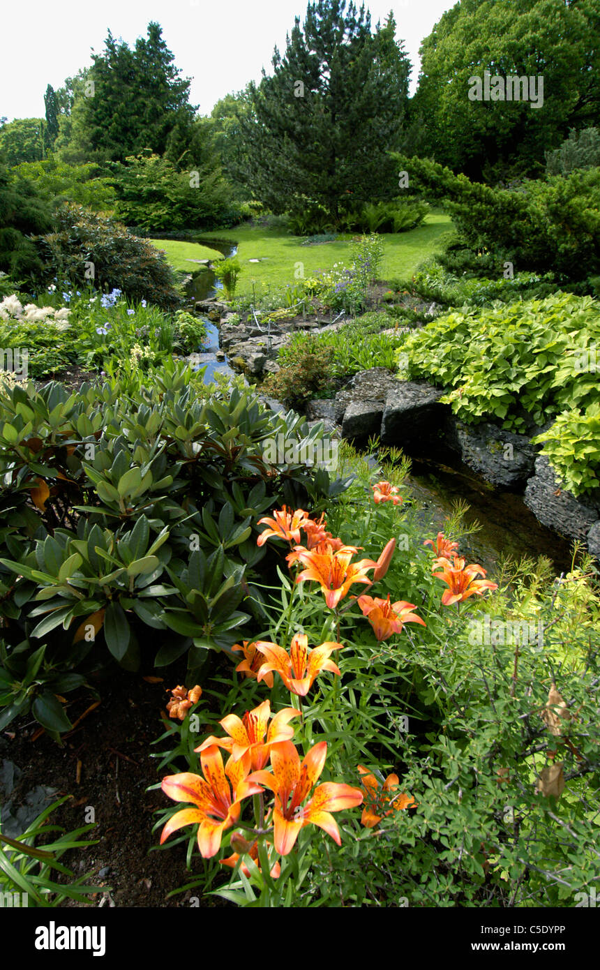 Pitch view hi-res stock photography and images - Alamy