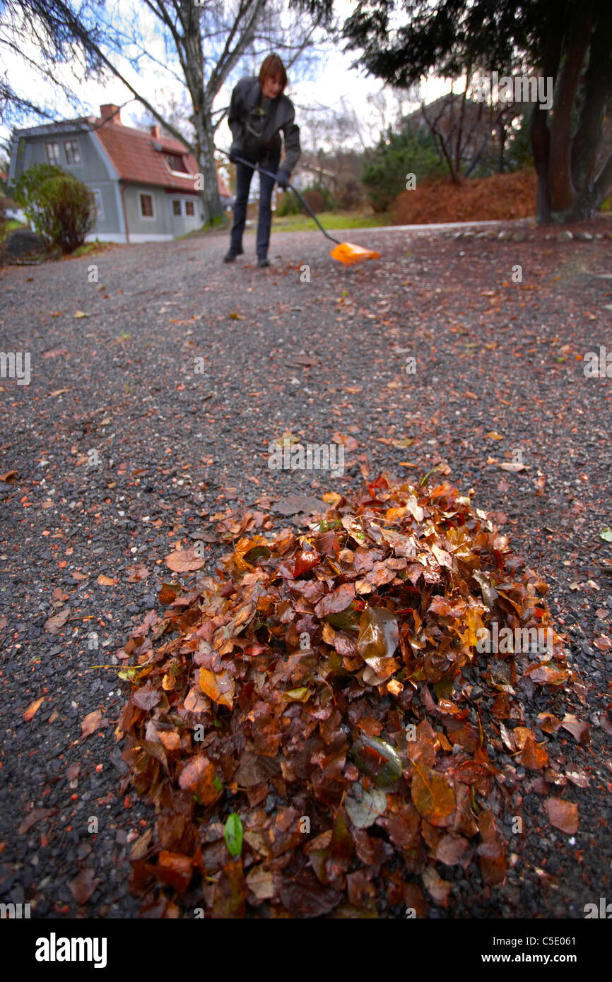 Woman leaves rake hi-res stock photography and images - Alamy