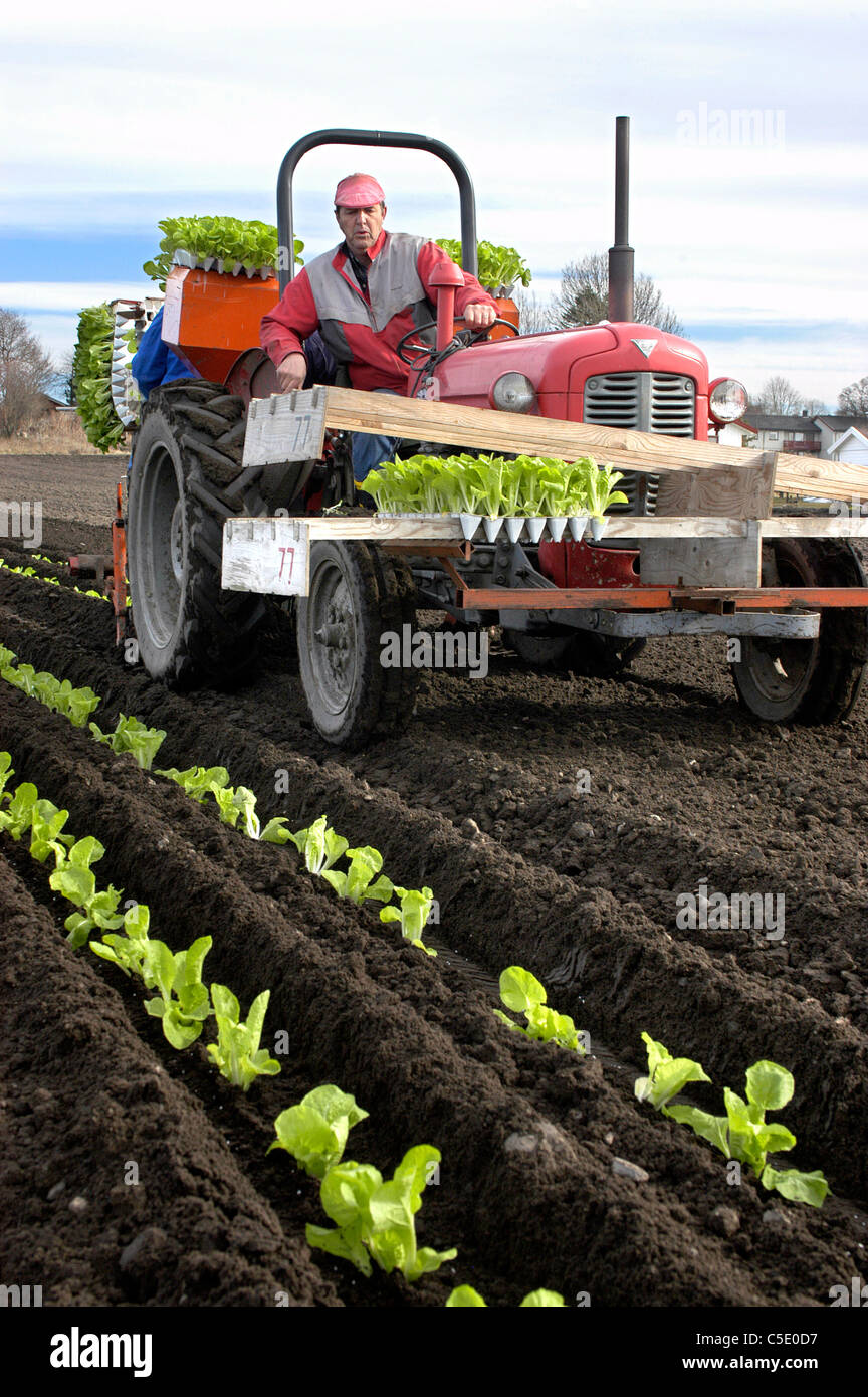 Farmer on machine hi-res stock photography and images - Alamy