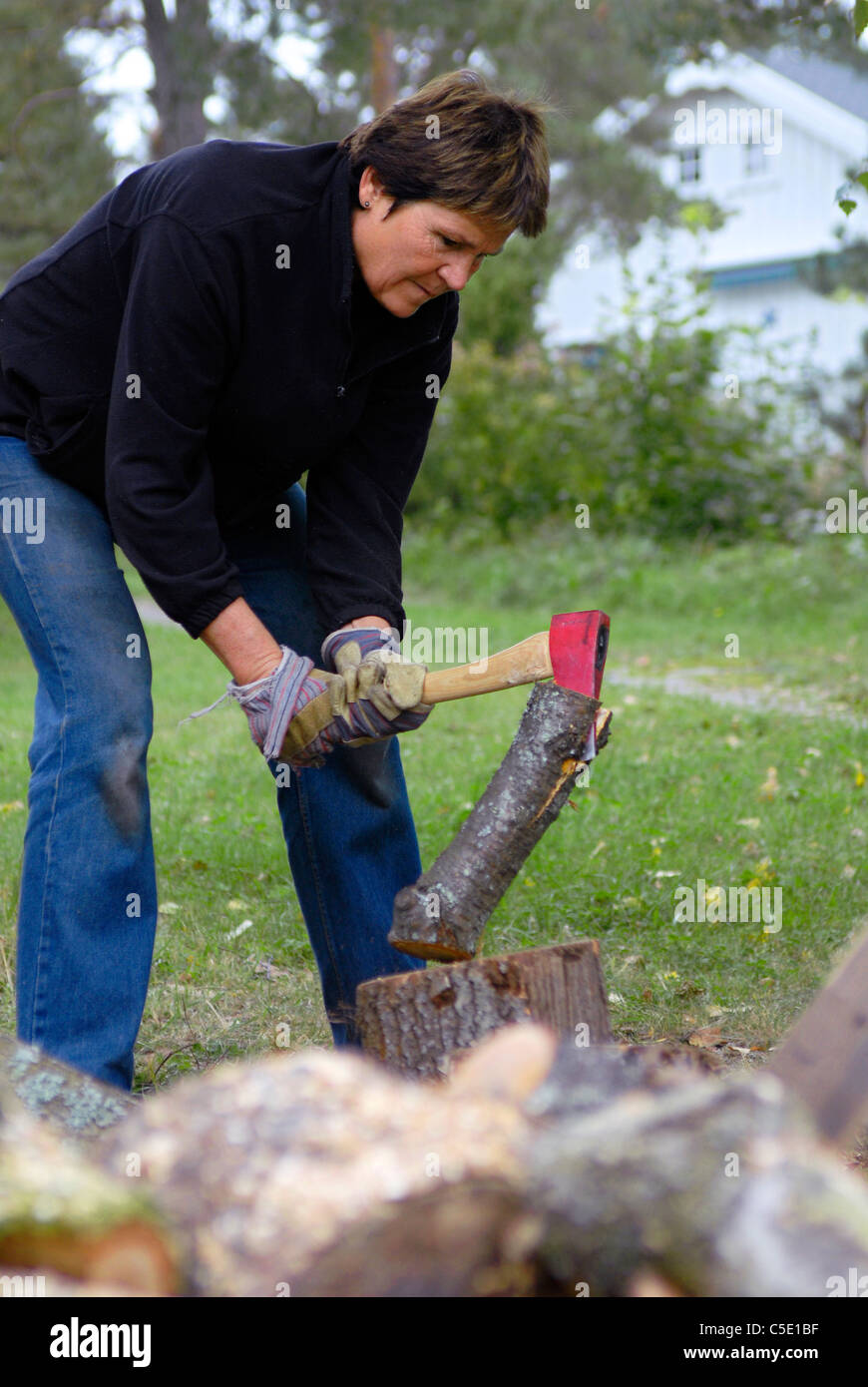 Middle wood hi-res stock photography and images - Alamy