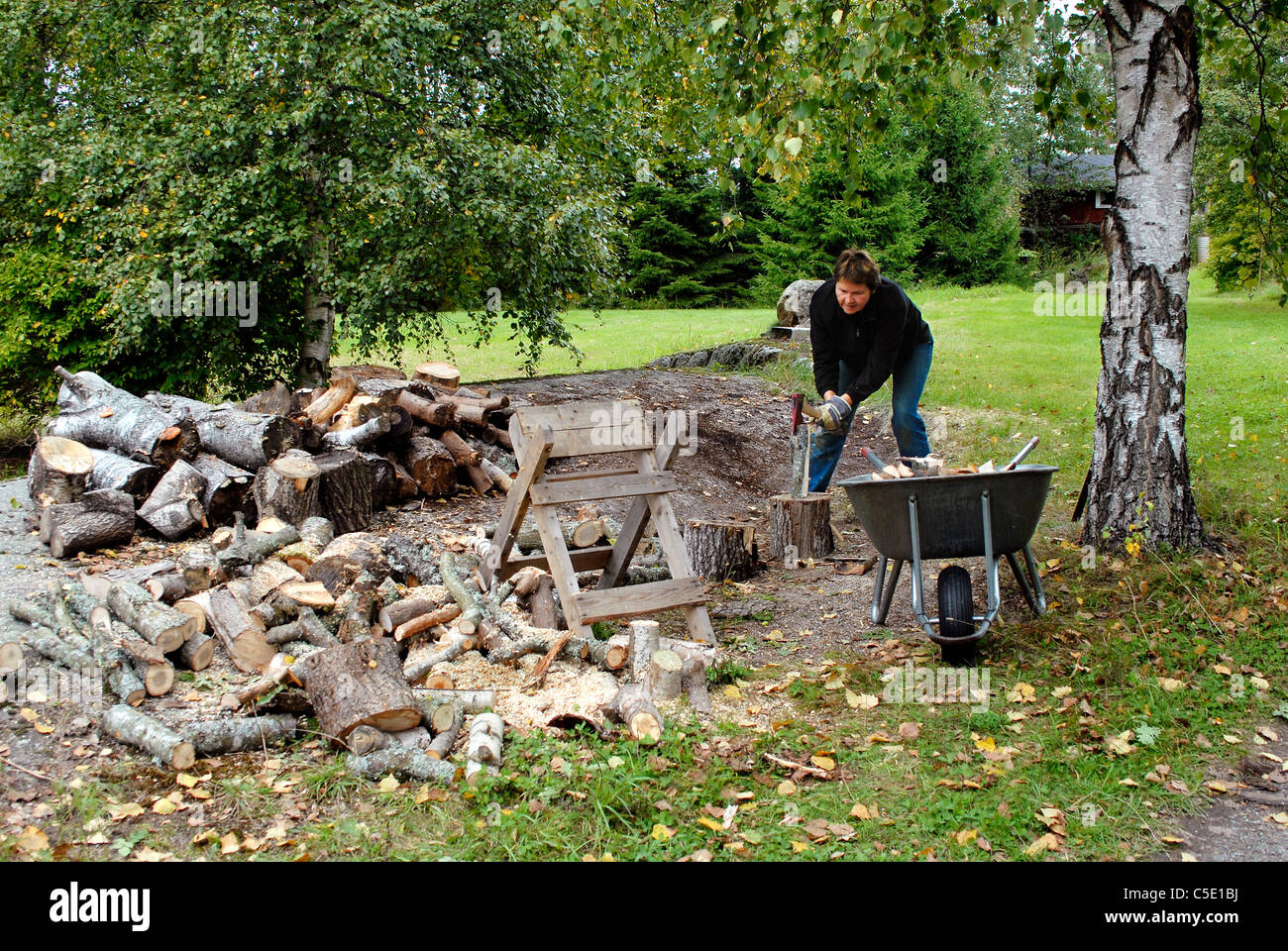 Middle wood hi-res stock photography and images - Alamy
