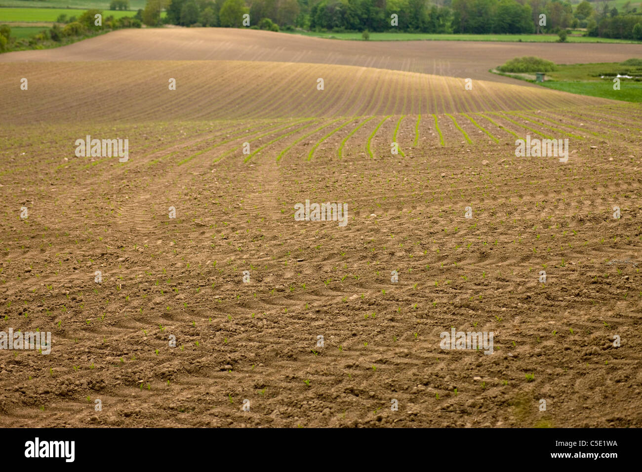 Vast Fields High Resolution Stock Photography and Images - Alamy