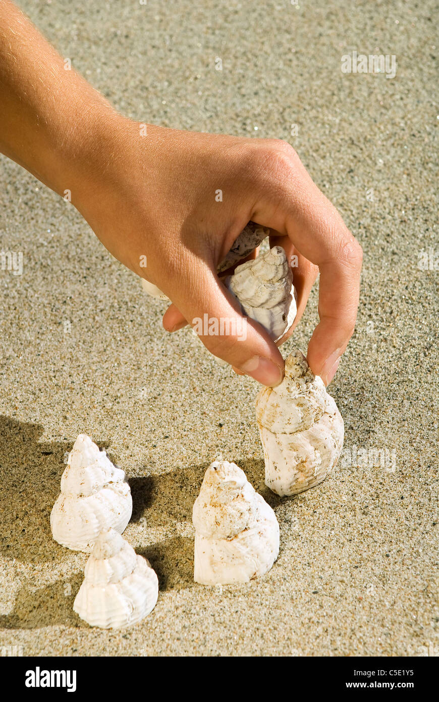 Pick up shells hi-res stock photography and images - Alamy